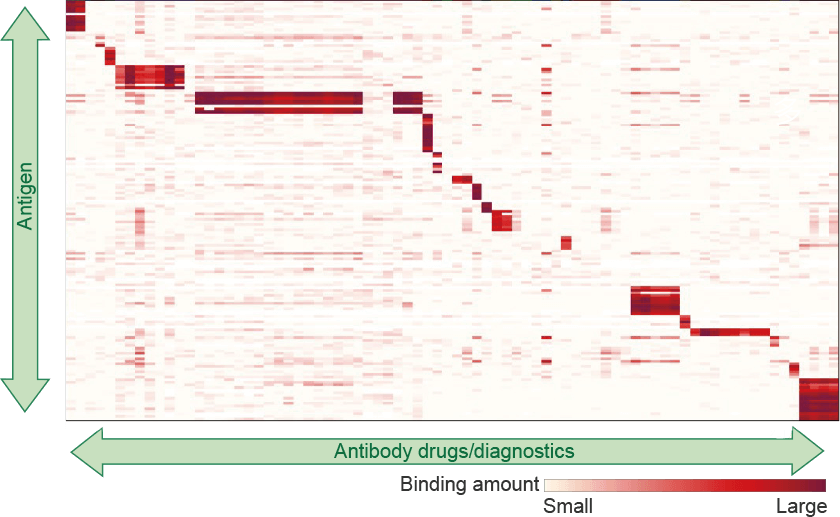 Protein Microarray Analysis | Tuning Fork Bio, Inc.