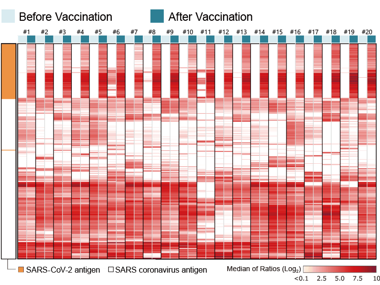 Protein Microarray Analysis | Tuning Fork Bio, Inc.